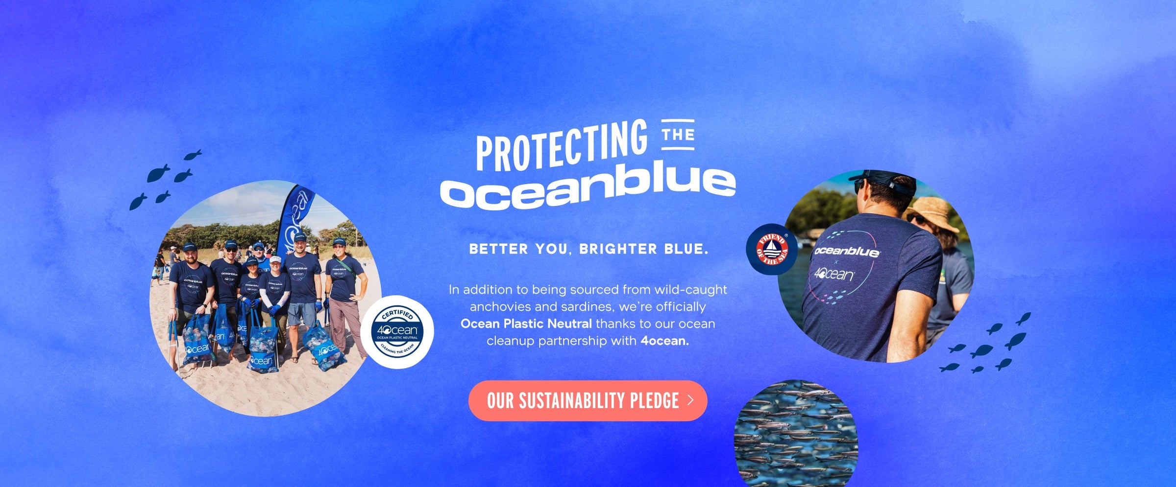 OceanBlue Omega-3 Fish Oil | OceanBlue Omega