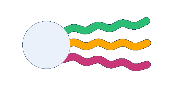 Why Ethyl Esters? – OceanBlue Omega